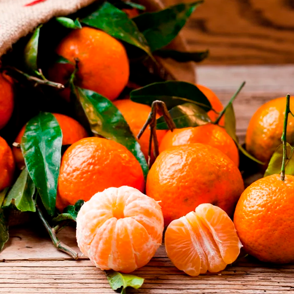 Mandarina Murcott – Fundo Don Manuel